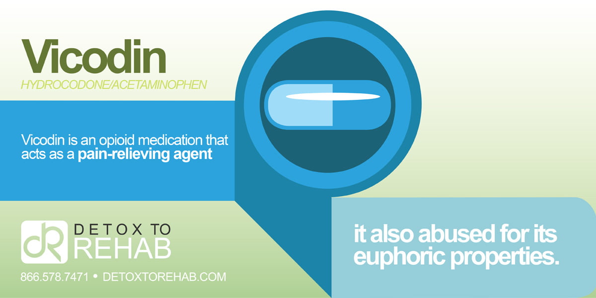 Vicodin Infographic - Detox To Rehab