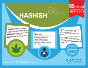Hashish Infographic - Detox To Rehab