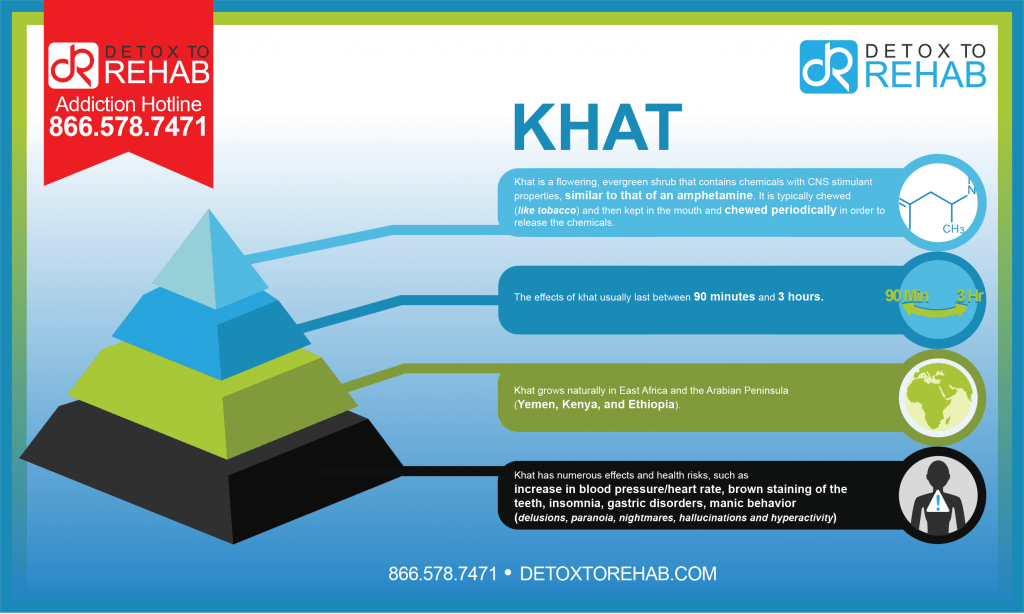 Khat Infographic - Detox To Rehab