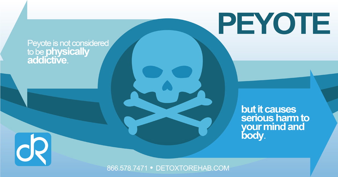 Peyote Infographic - Detox To Rehab